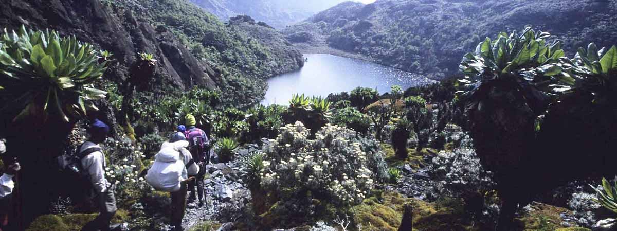 Rwenzori Mountains National Park, Uganda mountain climbing safari tours